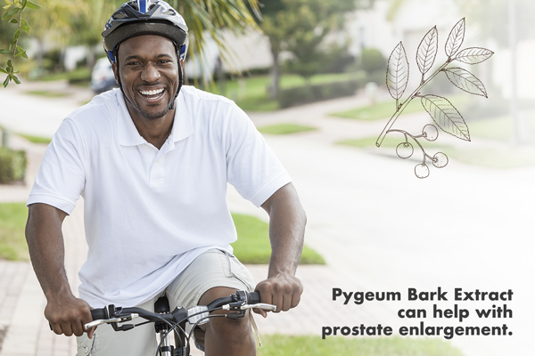 Pygeum Bark Extract helps Prostate Enlargement | Pacific Center for ...